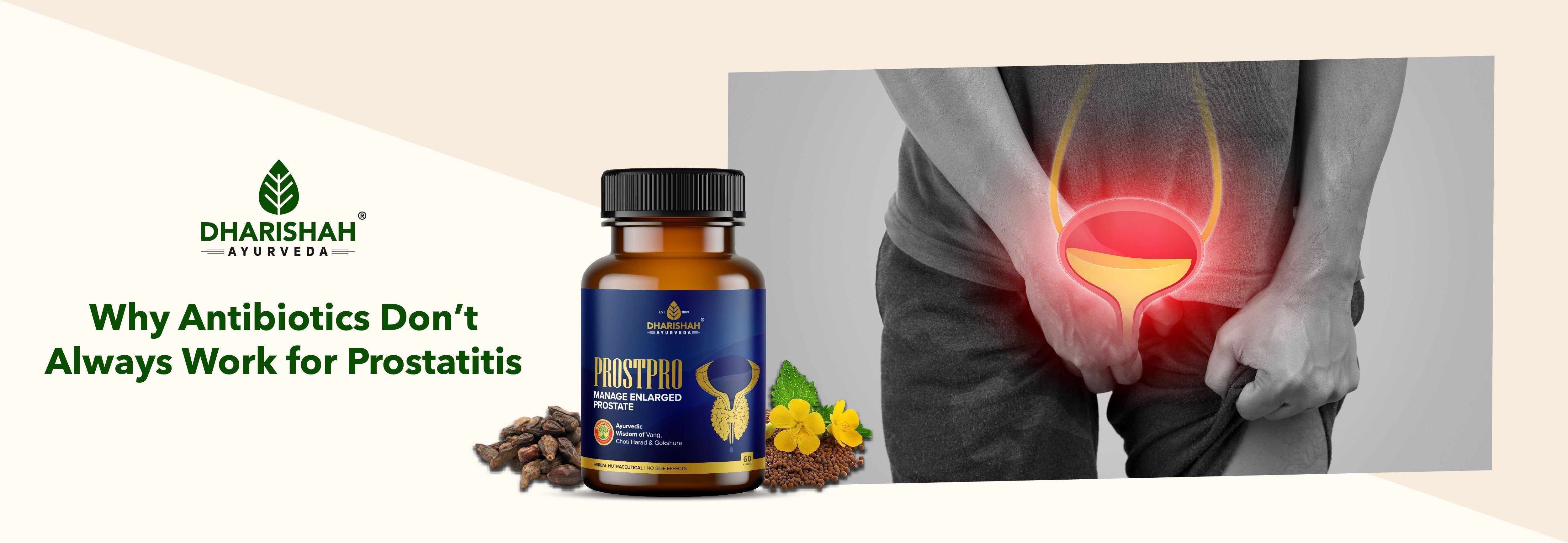 Why Antibiotics Don’t Always Work for Prostatitis? – Dharishah Ayurveda
