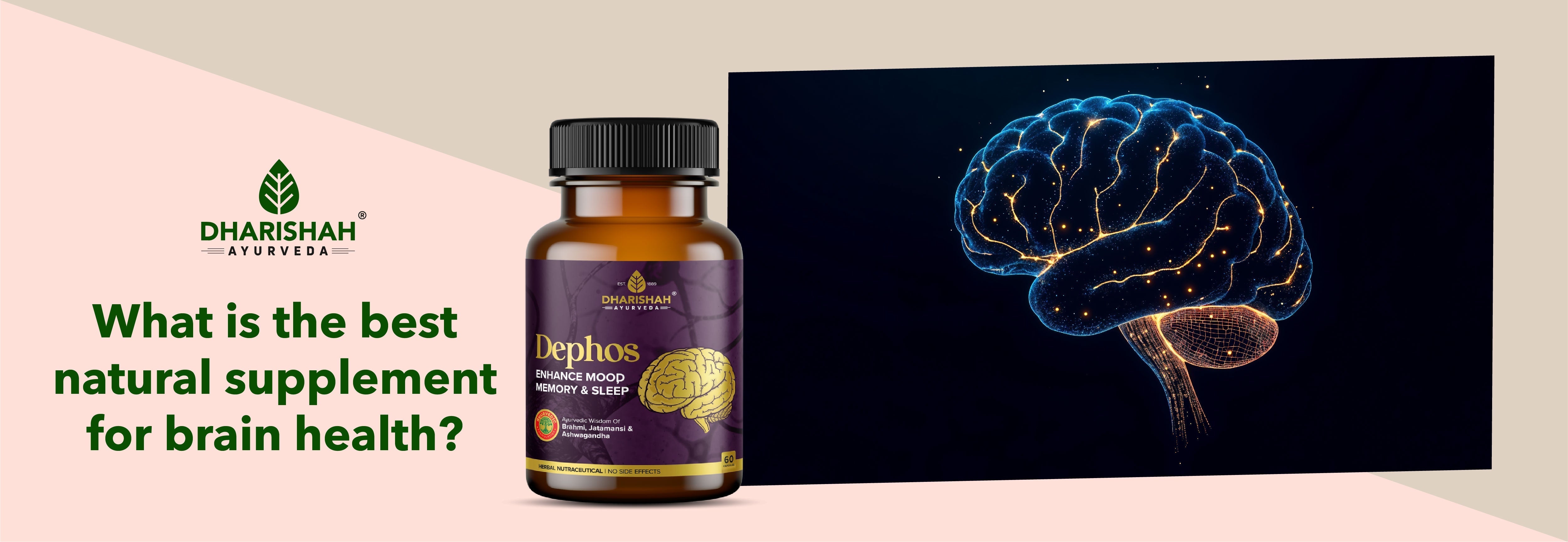 What is the Best Natural Supplement for Brain Health? – Dharishah Ayurveda