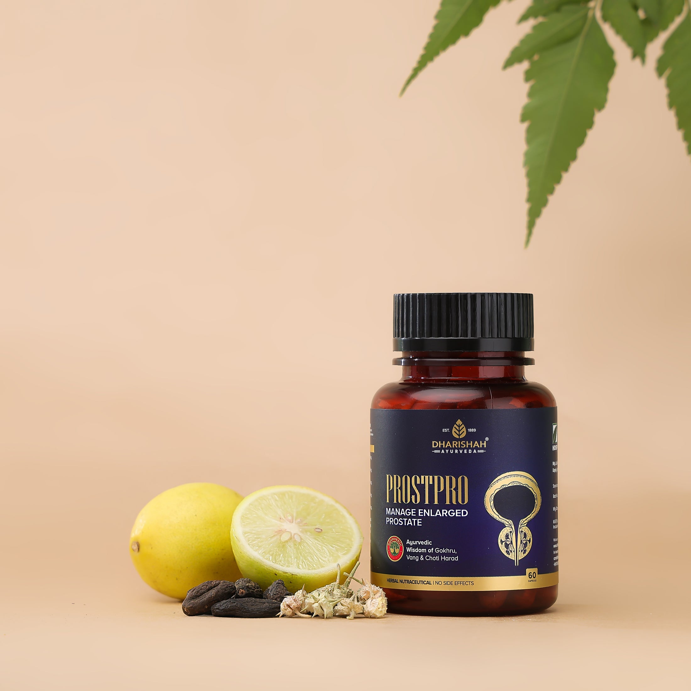 Prostpro Capsules - Ayurvedic Prostate Medicine for Enlarged Prostate ...