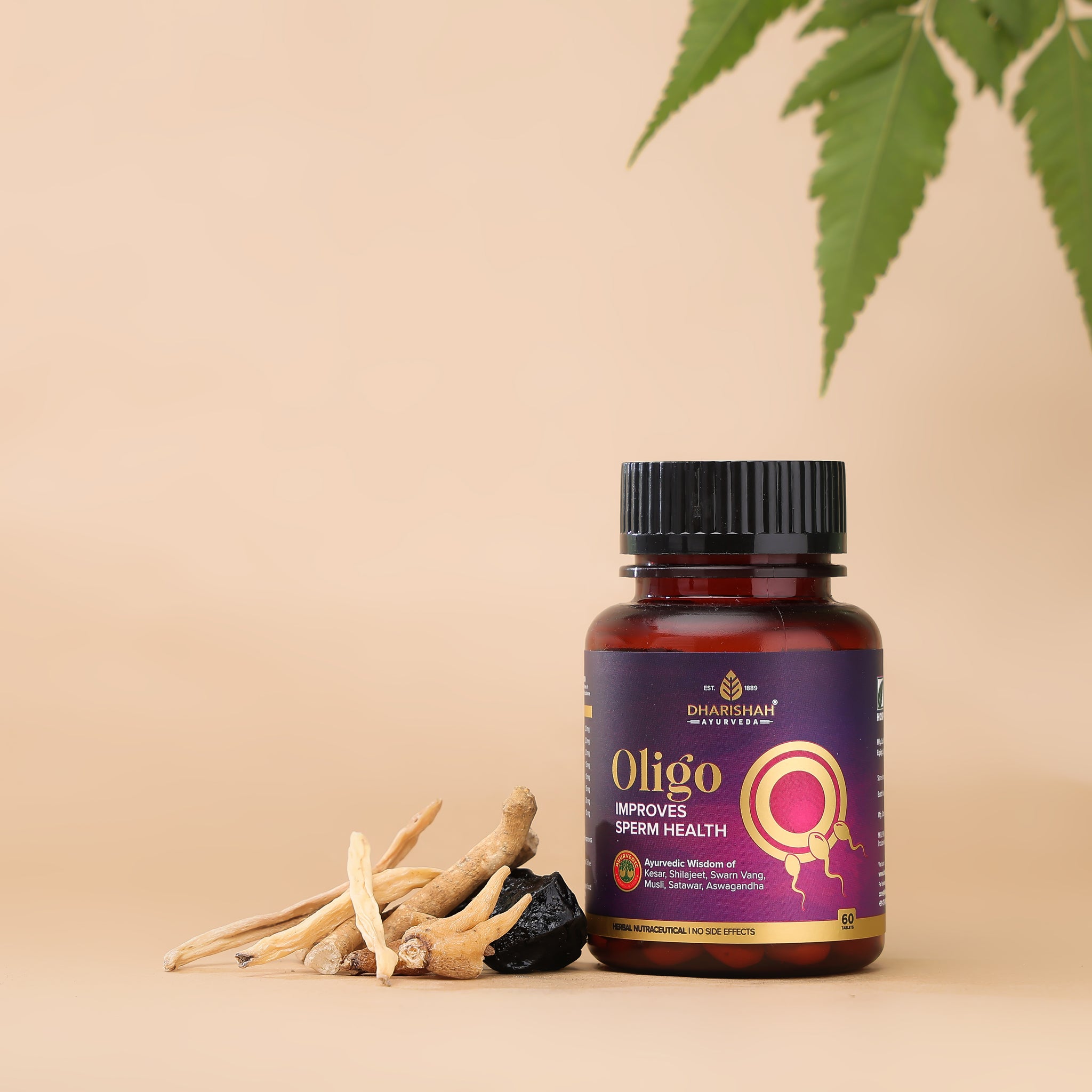 Oligo Tablets - Best Ayurvedic Tablets to Increase Sperm Count ...