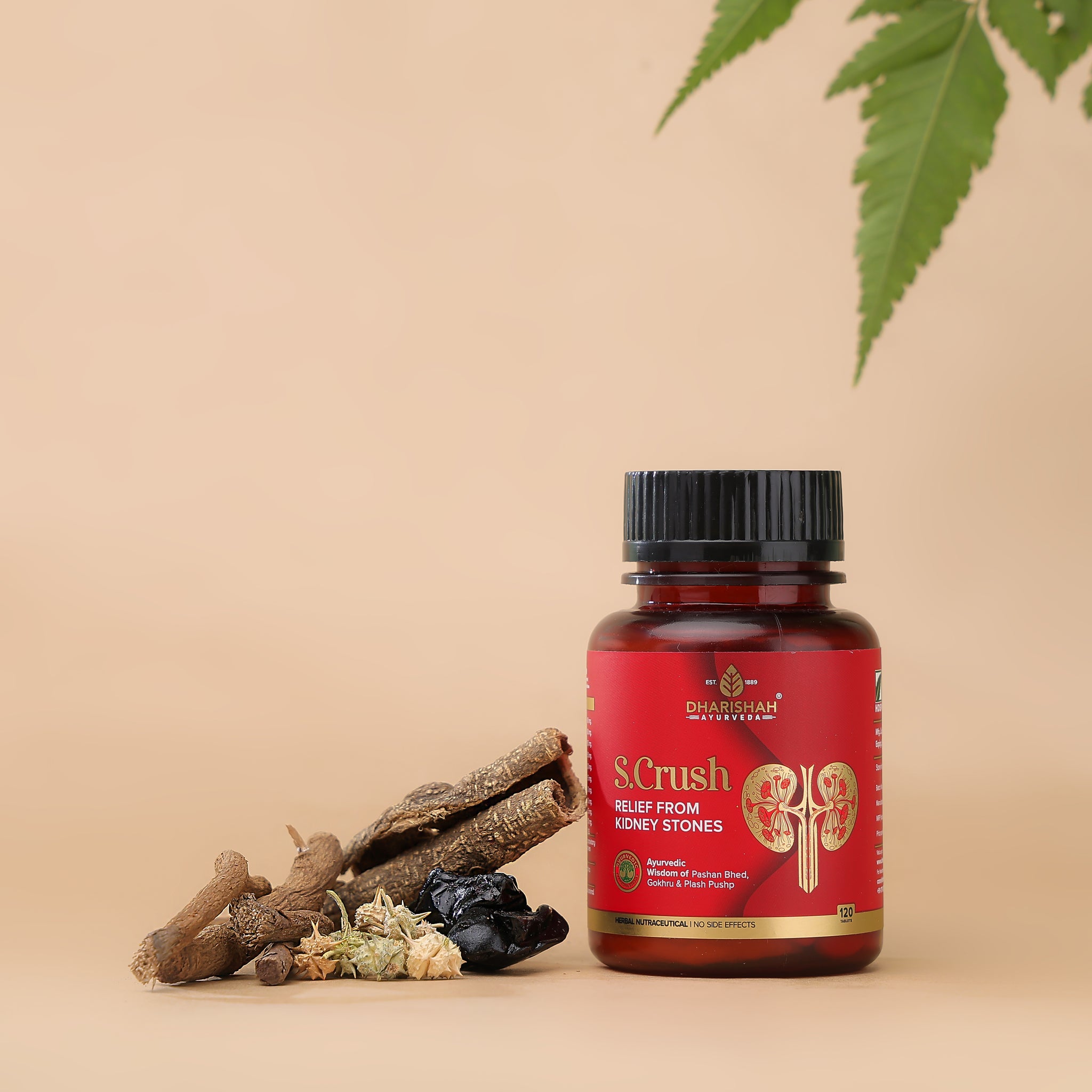S. Crush Tablets – Dharishah Ayurveda