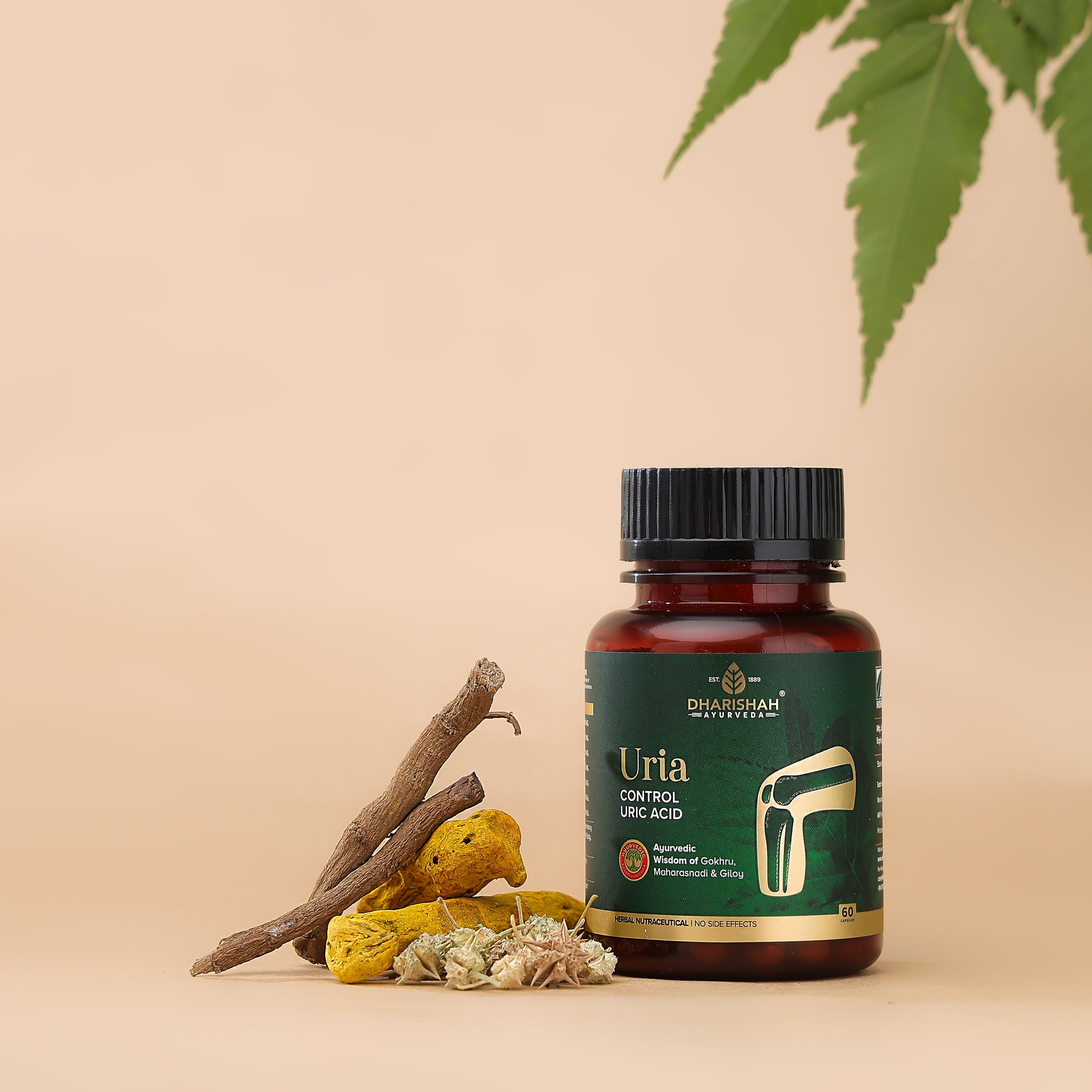 Ayurvedic Uria Capsules to Control Uric Acid Levels – Dharishah Ayurveda